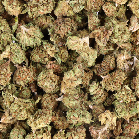 Votre Grossiste CBD de Confiance en France | Deli Hemp Professionnel